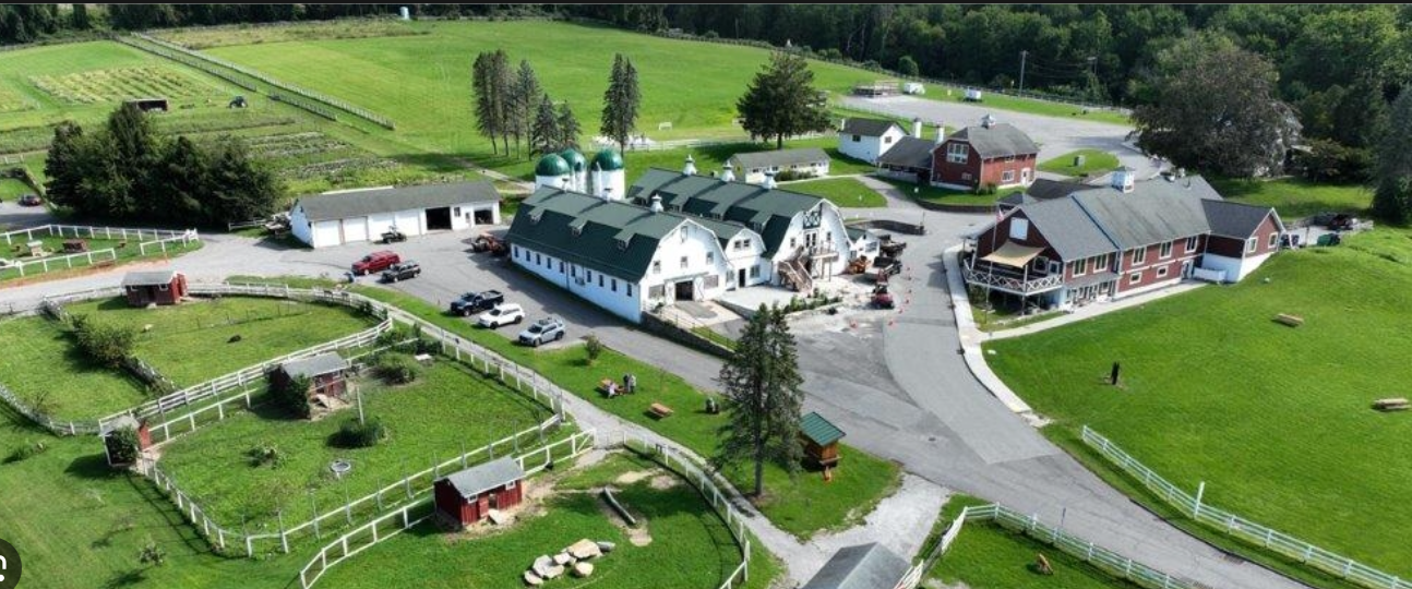 Celebration details – Michael Taylor